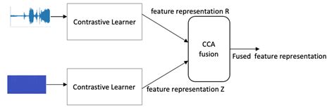 Fusing Representation From Different Input Types Download Scientific Diagram