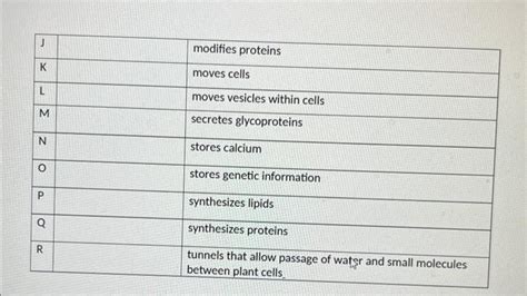 Solved Part 1 This Activity Will Help You Identify