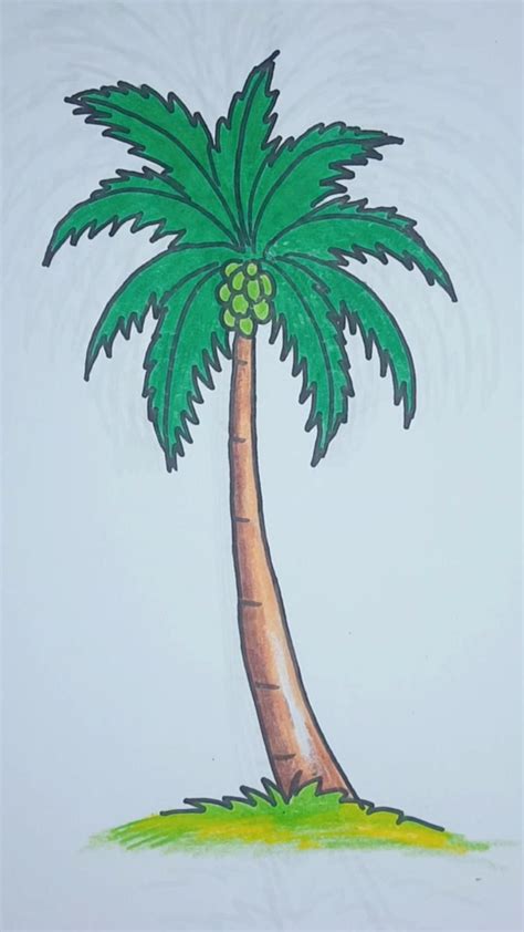 Coconut Tree Drawing