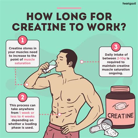 Does Creatine Work Before Workout | Kayaworkout.co