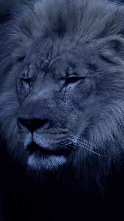 Muhammad Umer Mahmood Rathore On Linkedin Teamwork Productivity