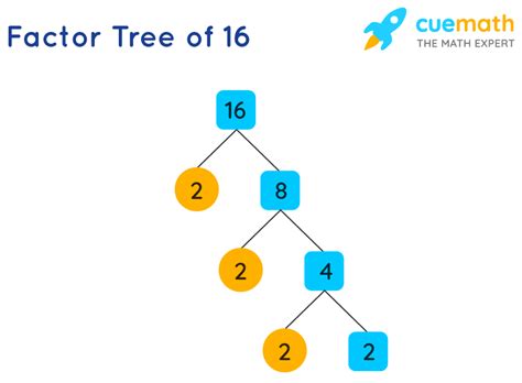 Factors Of 16 Find Prime Factorizationfactors Of 16 Factors Of 16 Find Prime Factorizationfactors Of 16