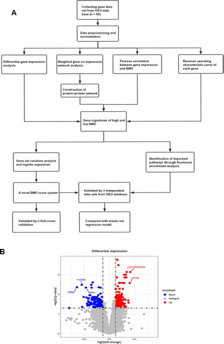 通过整合生物信息学分析，单核细胞通过核糖核蛋白复合物的生物合成影响绝经前和绝经后妇女的骨矿物质密度。 Scientific Reports X Mol