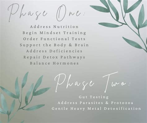 Integrative Approach To Healing Through Functional Testing Hubpages