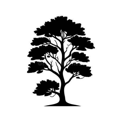 Fagus Sylvatica Icon Hand Draw Black Colour Tree Logo Symbol Perfect Stock Vector Illustration