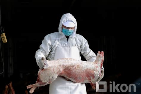 Амралтын өдрүүдэд нөөцийн махны өргөтгөсөн худалдаа зохион байгуулах