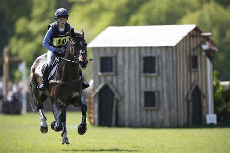 pferd von weltmeisterin stirbt beim chio in aachen mopo