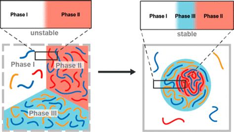 Interfacial Tensions Of Polyelectrolyte Multiphase Coacervation Macromolecules
