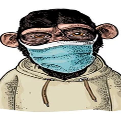 Face Mask Detection Augmentation Boost Kaggle