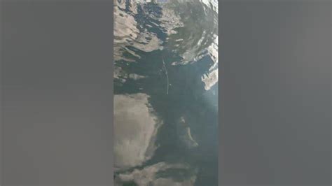 청라호수공원 오리배 물고기 먹이주기~ Youtube