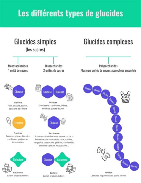 Glucide Complexe Et Simple Comment Faire La Différence Gerblé
