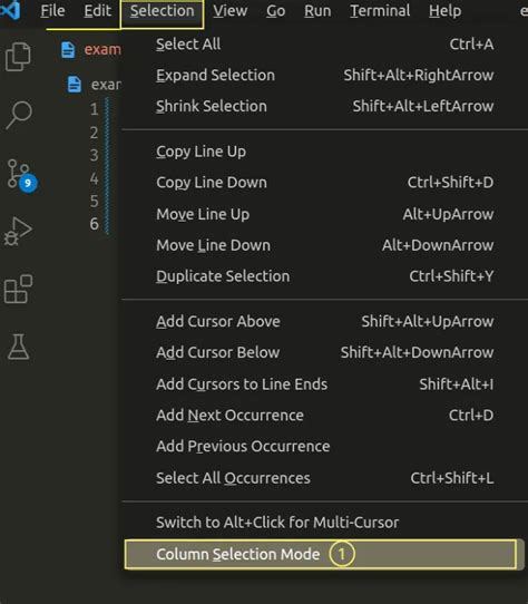 Column Box Selection In Visual Studio Code Bobbyhadz