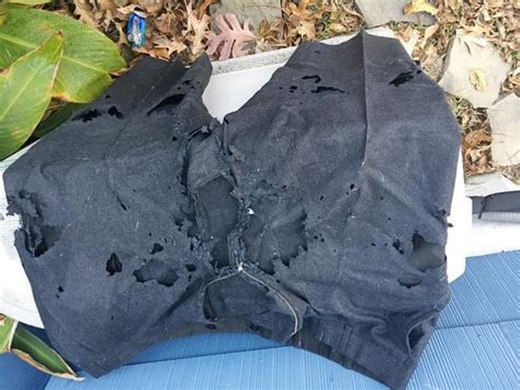 Pests We Treat Technical Papers Nj Homeowners Guide To Webbing