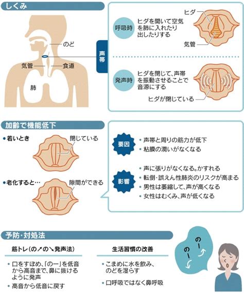 かすれ声は老化のサイン 踏ん張りきかず転倒原因にも：トピックス From 日経電子版：日経gooday（グッデイ）