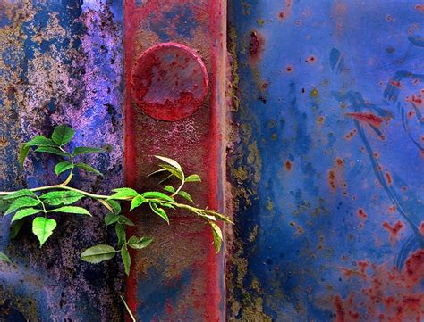 Rust And Leaves By Tina Jarnling Via Flickr Rusty Objects Flickr Leaves Gallery Painting