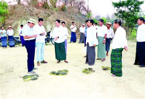 ပြည်ထောင်စုဝန်ကြီး ဦးကိုကိုလွင် အမှတ် ၄ ဓာတ်မြေဩဇာစက်ရုံ မြောင်းတကာ