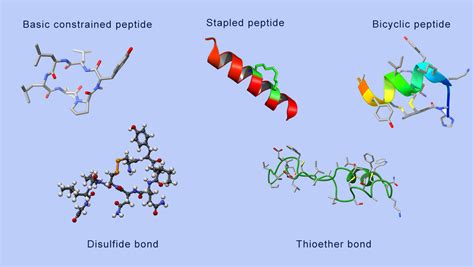 Custom Peptide Synthesis Services Ai Powered Drug Discovery Cro Computational Chemistry