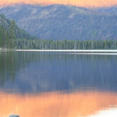 Renee Bade Bachelor Of Psychology Grand Canyon University Phoenix Gcu College Of Arts