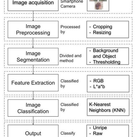 Illustration Of The Knn Process In Classifying New Data Download Scientific Diagram