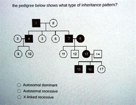 solved the pedigree below shows what type of inheritance pattern