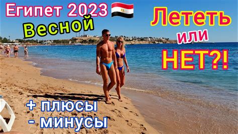 Египет ВЕСНОЙ 🇪🇬 БУМ ️ Стоит ли ЕХАТЬ на отдых в Египет в марте апреле и мае ПЛЮСЫ и МИНУСЫ