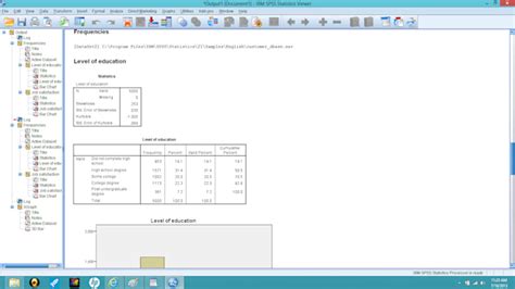 Statistical Data Analysis And Interpretation Using Ibm Spss And Excel By Odunayoajewole Fiverr
