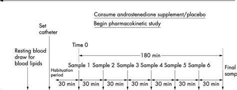 Schematic Of The Testing Protocol Download Scientific Diagram