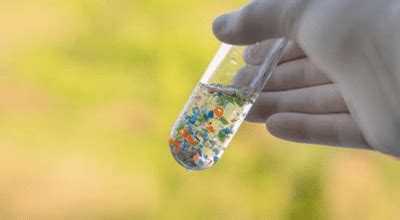 How To Remove Water Sediment Apure