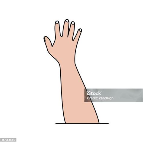 인간의 손 기호 및 제스처의 그림은 흰색 배경에 격리된 벡터입니다 5가지 개체에 대한 스톡 벡터 아트 및 기타 이미지 5가지 개체 Charitable