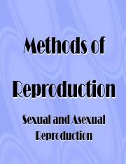 Understanding Reproduction Asexual Vs Sexual Methods Course Hero