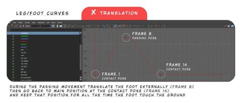 Tutorial #2 Female Walk Cycle | Tutorial, How to find out, Walking
