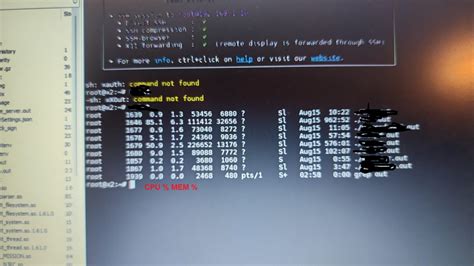 C Serial Com Freeze Ctrl C Release It No Idea Where To Begin