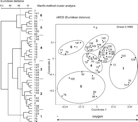 Results Of Cluster Analysis And Non Metric Multidimensional Scaling