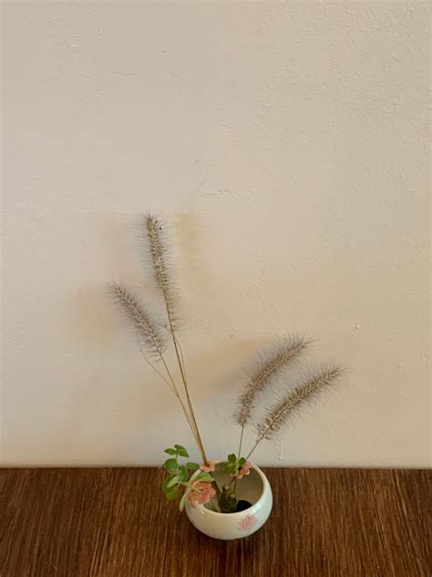 광명역 일직동 카페 코이커피 스페셜티 핸드드립 가격 감동실화 마카롱 쿠키 네이버 블로그 광명역 일직동 카페 코이커피 스페셜티 핸드드립 가격 감동실화 마카롱 쿠키 네이버 블로그