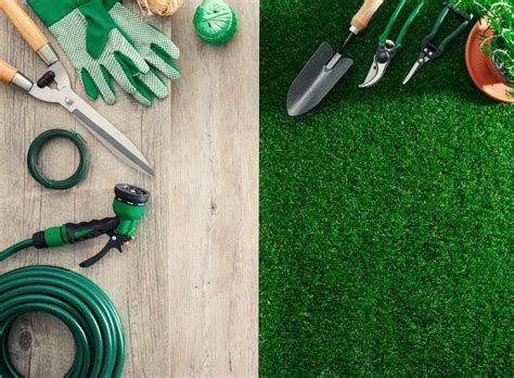 Lawn Dethatching Service Prime Lawn Care Group