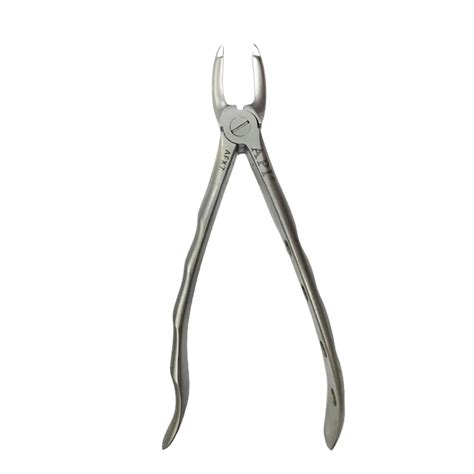 Buy Api Extraction Forceps Oralkart