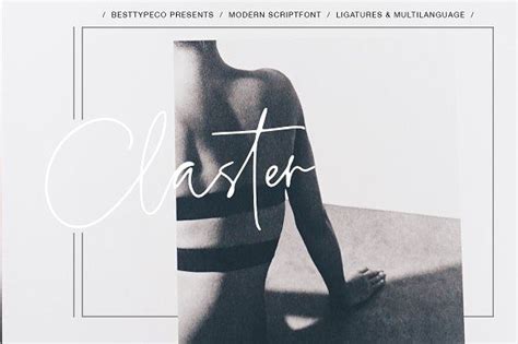 Stunning Script Fonts Artofit