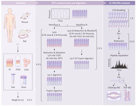 文献解读 西湖大学郭天南团队详细报道微量临床样本的高通量蛋白组学制备方法 Guomics 蛋白质组大数据实验室