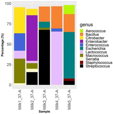 Barplot Representing The Most Abundant Bacterial Species 2 In All