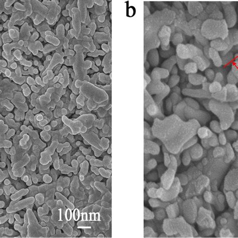 Microstructure Of α Fe2o3 Particles A Sem Image At × 20 000 Download Scientific Diagram