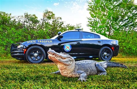 Florida Highway Patrol Expands Lead In ‘best Looking Cruiser Contest