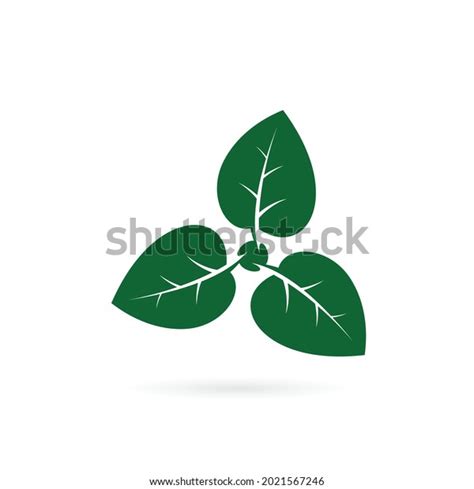 Three Leaf Logo Design Symbol Stock Vector Royalty Free 2021567246