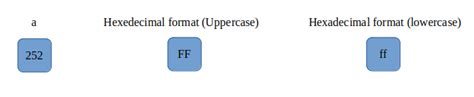 How To Print Hexadecimal In C