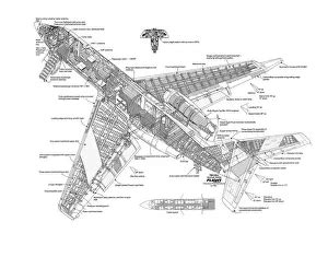 Cutaway Posters Art Prints Posters And Puzzles