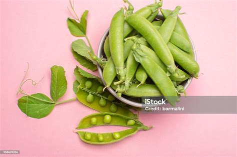 신선한 녹색 익은 설탕 스냅 달콤한 완두콩 그릇 복사 공간에서 밝은 분홍색 배경에 가까이 0명에 대한 스톡 사진 및 기타 이미지 0명 날것 녹색 완두콩 Istock