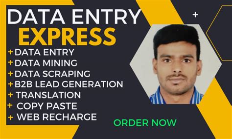 do excel data entry web research copy paste pdf to excel by