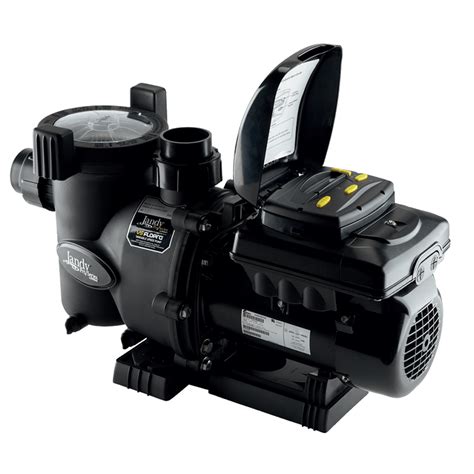 Jandy Flo Pro Variable Speed Pump With Controller 165 Hp Pool