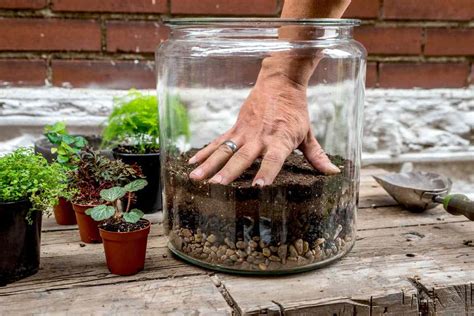 Terrarium Diy How To Create Your Own Miniature Garden Twigandthistle