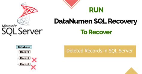 How To Recover Deleted Records In Sql Server Imc Grupo