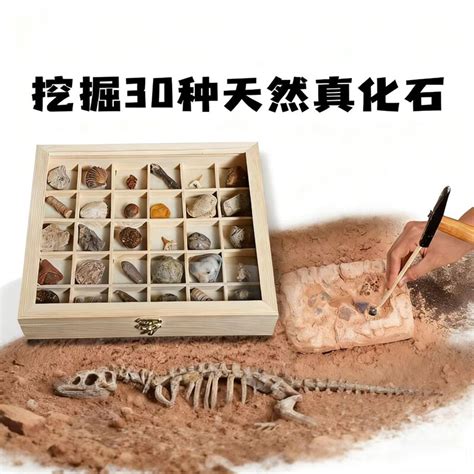 化石考古盲盒🌟古生物挖掘玩具宝藏探险🔍 挖宝玩具 淘宝好物网